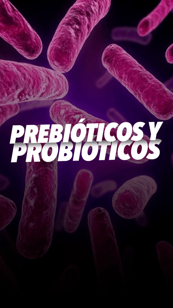 Beneficios de los Prebióticos y Probióticos: Cuidando tu Salud Intesti ...